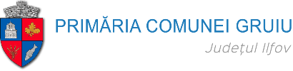 Primaria Gruiu - Anul 2024
